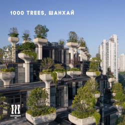 Heatherwick Studio. 1000 Trees - ИЦ ARCHITECTOR